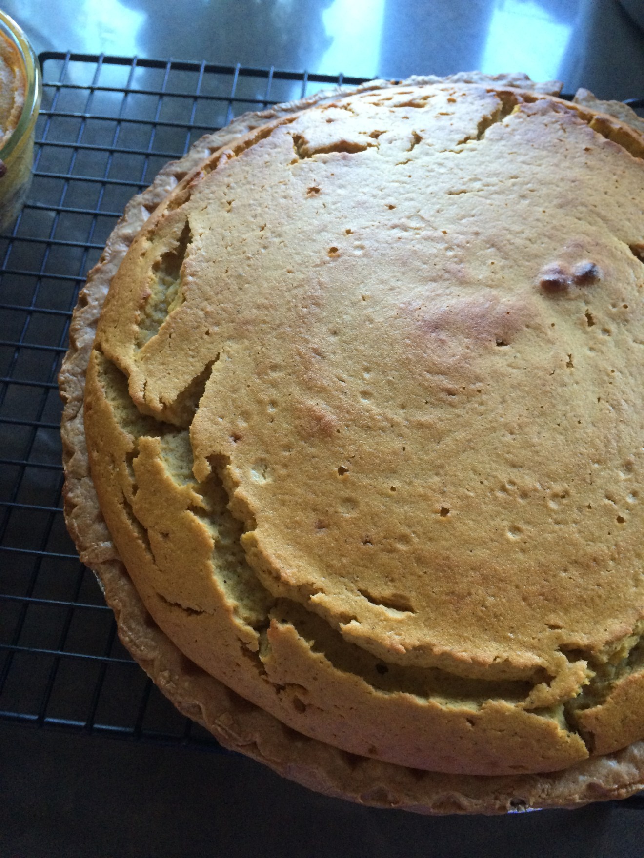 Acorn Squash and Apricot Pie – Move over Pumpkin! – Odds & Hens ...